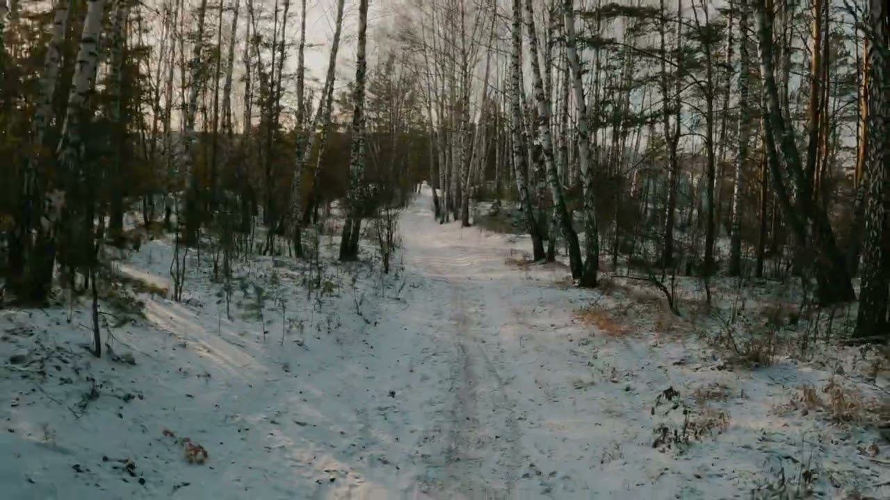 Зимний лес в Академгородке на фэтбайке