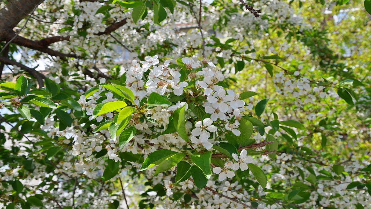 Ейск: прогулка к морю 29.04.2020г.