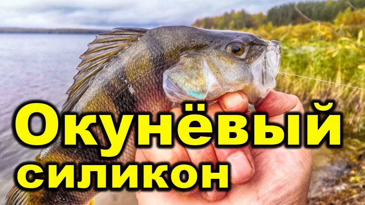 Съедобная силиконовая приманка на окуня. Окунёвый силикон с Алиэкспресс. Edible silicone lure