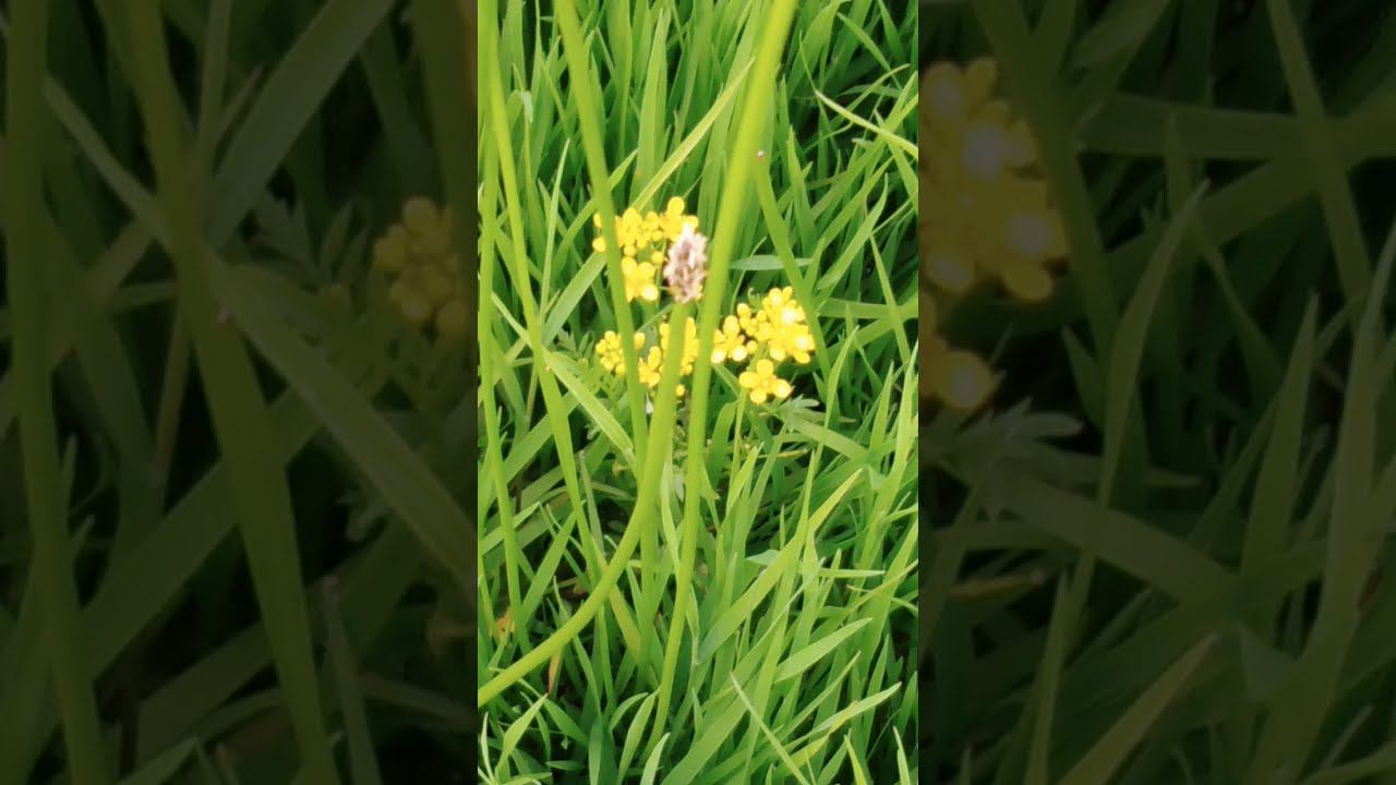 На речке 04 07 2020г