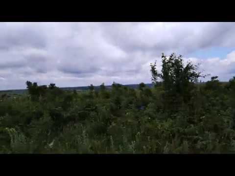 На источник