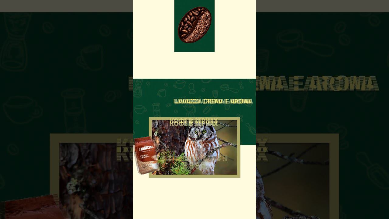 Анимация графики и элементов для Stories в VegasPro