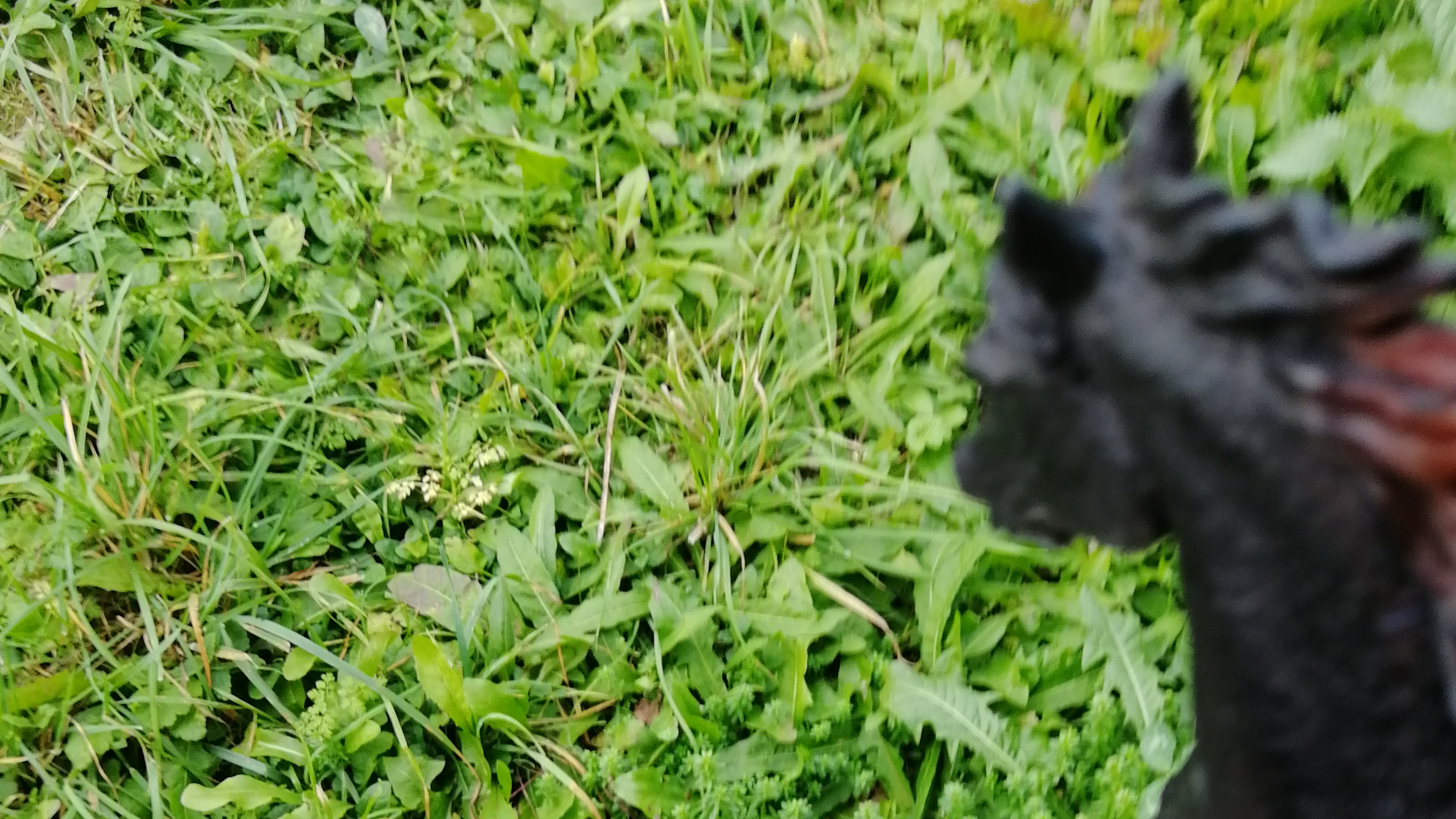 Шляйх сериал предсказание 1 сезон 10серия