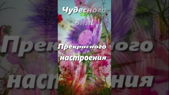 Я тебя рисовал на картинах и в мыслях