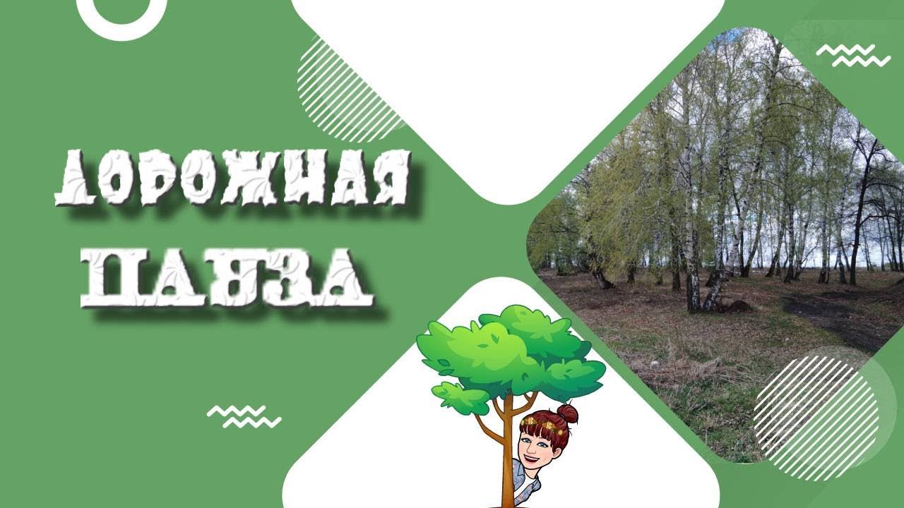 Дорожная пауза