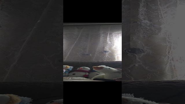 1 серия. Джетпак кота рыжокуба "который работает"