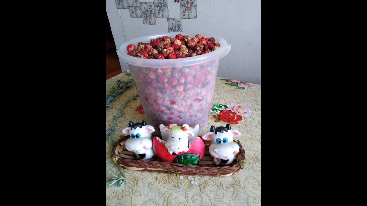 Удачный день