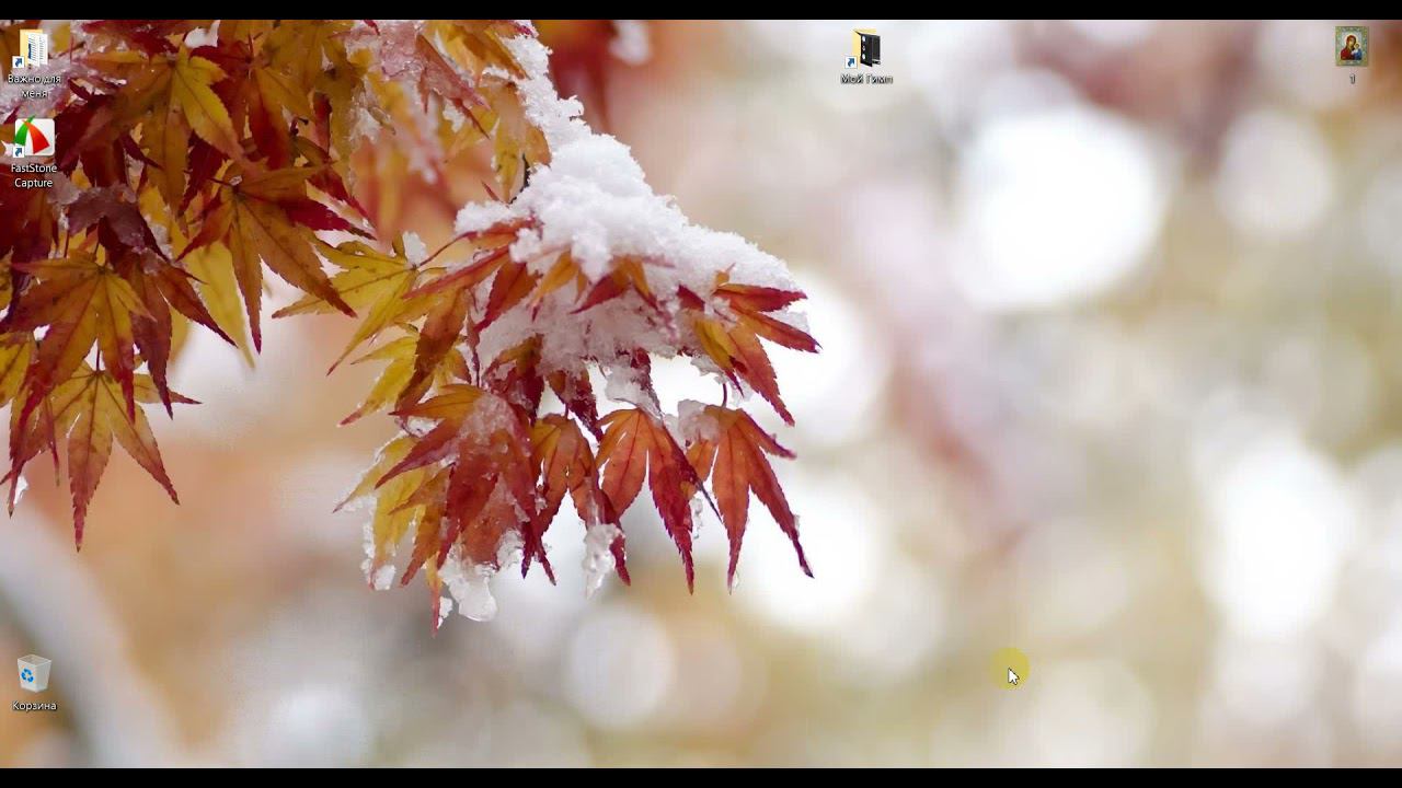 1 GIMP Добавить кисти в программу