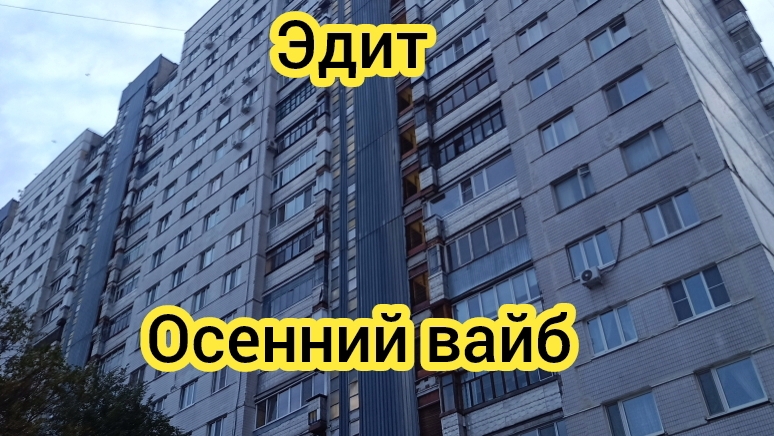 Осенняя атмосфера (прикольные кадры). сборник #1