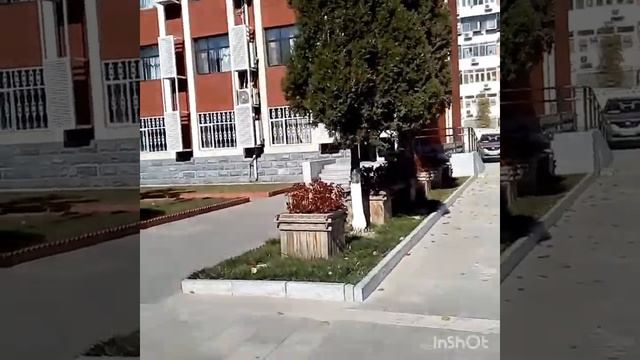 Колледж Nong Ye, Пекин 2019