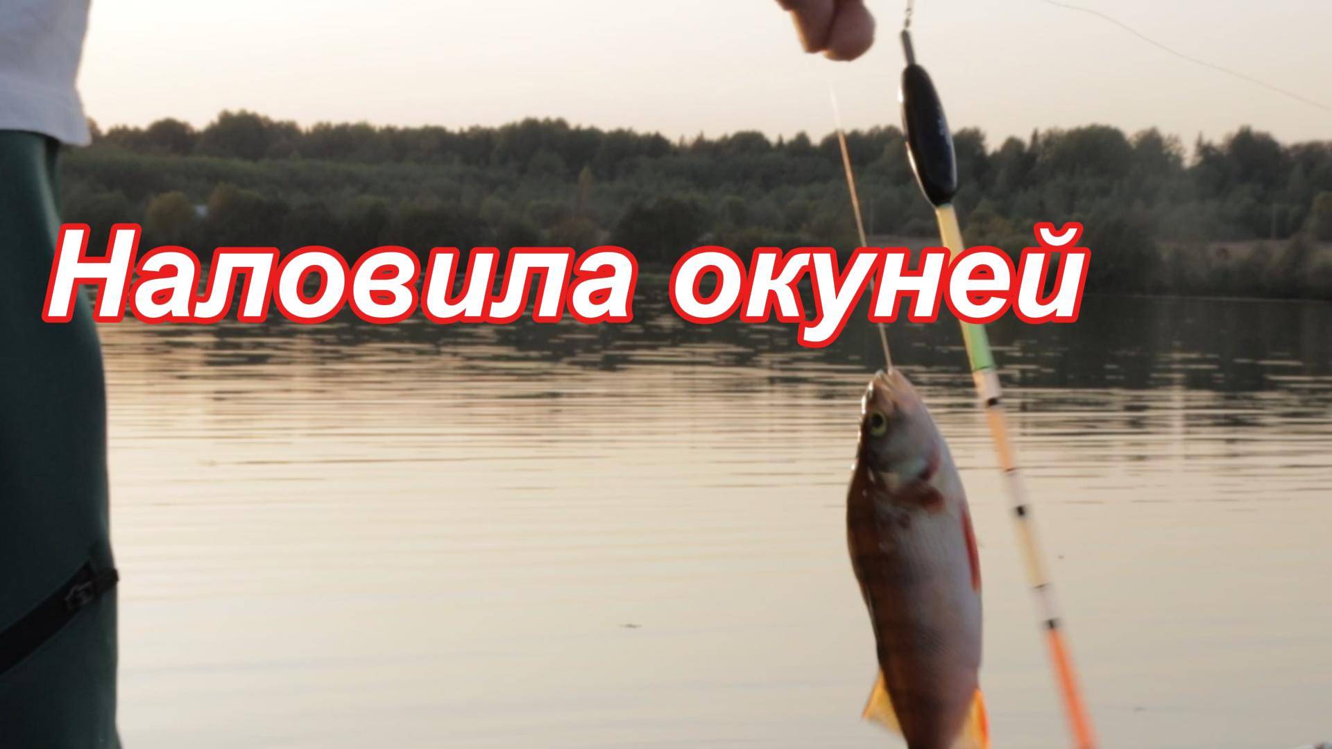 Вечером наловила окуней, получила огромное удовольствие.