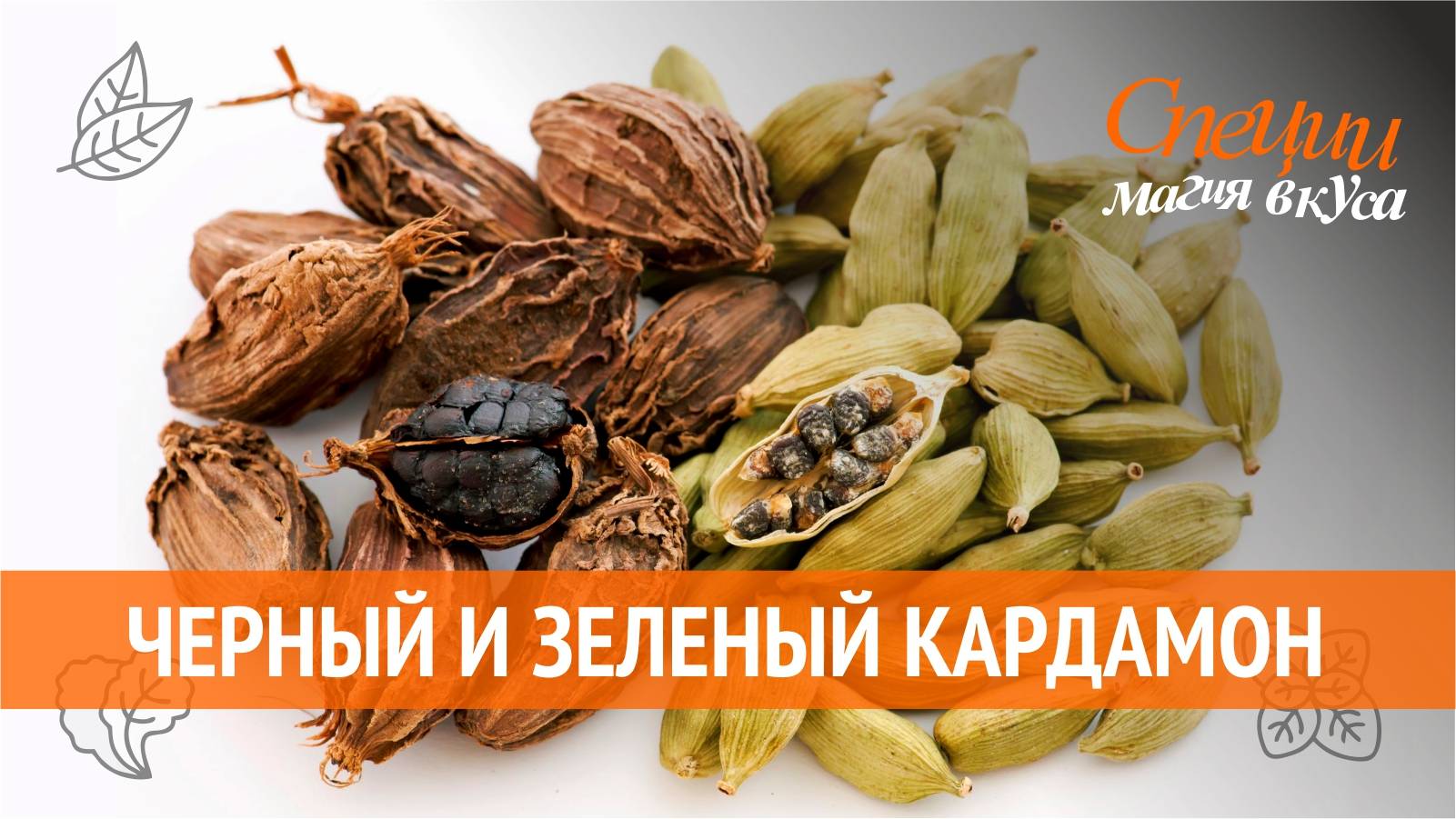 Зеленый и черный кардамон