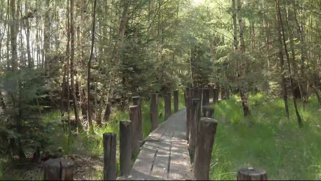 'Древлегорск'  'Святица' 'К тебе' 'Дождь о тебе' / широкий формат