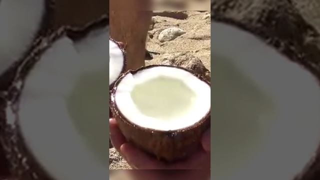 Контрабандисты наполнили кокосы неизвестным веществом