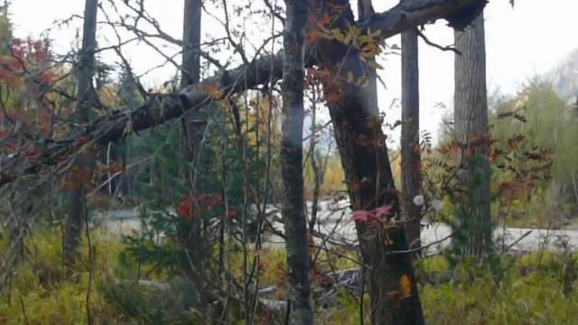 Ориентирование. Таежная река в Восточной Сибири 2