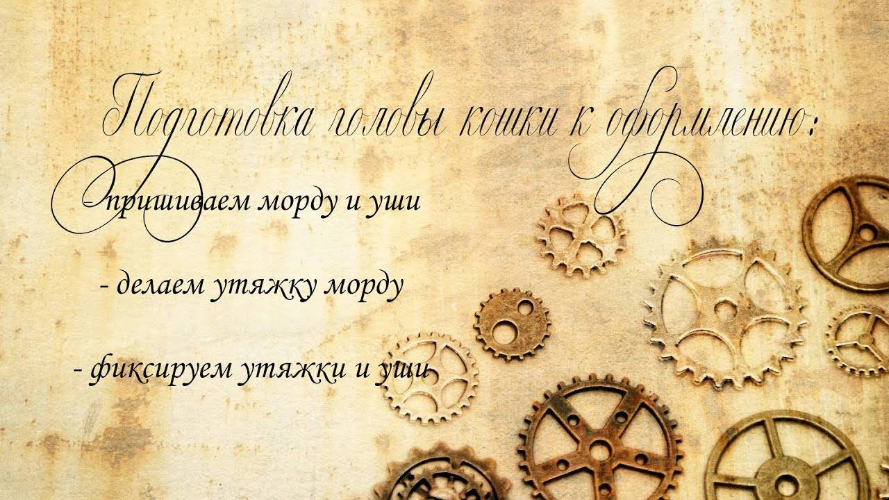 Голова кошки  Часть 1