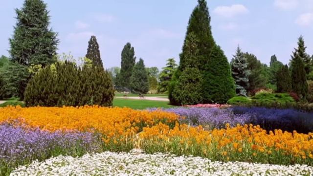 Y2mate.mx-Бесшовный фон природа.