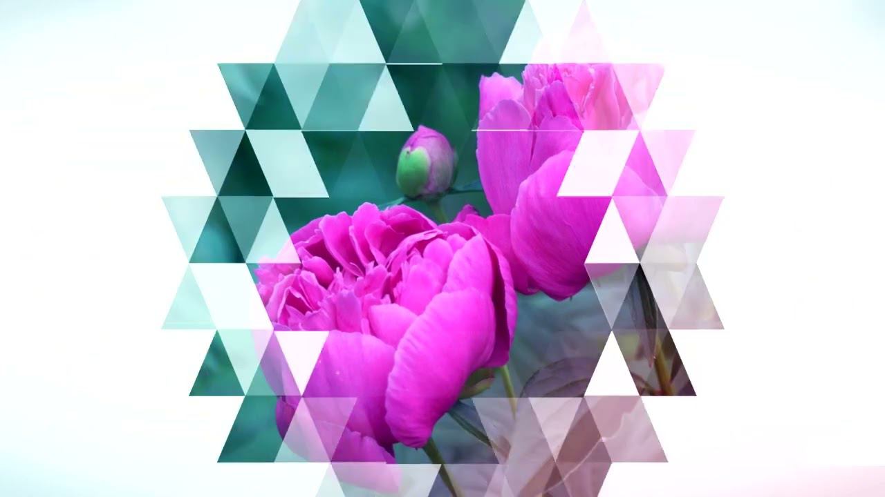 Пион Замена футажа в AE