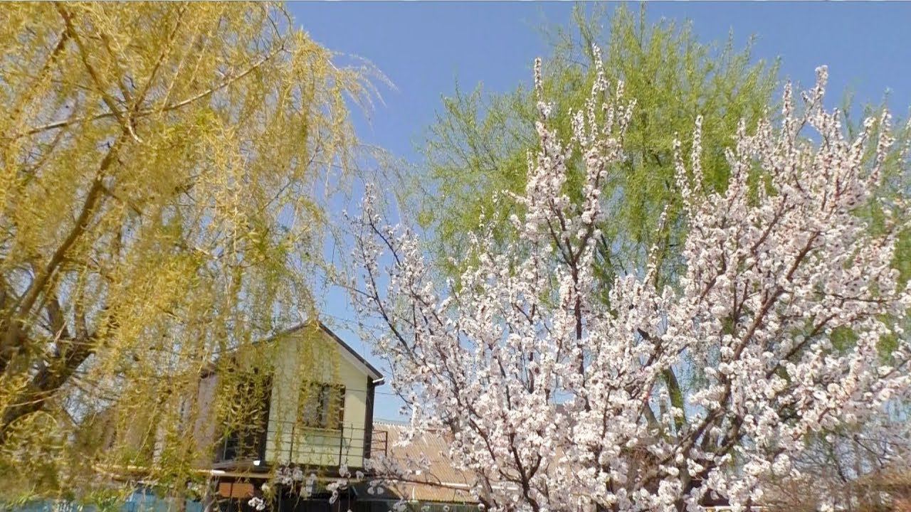 Ейск: прогулка вдоль лимана