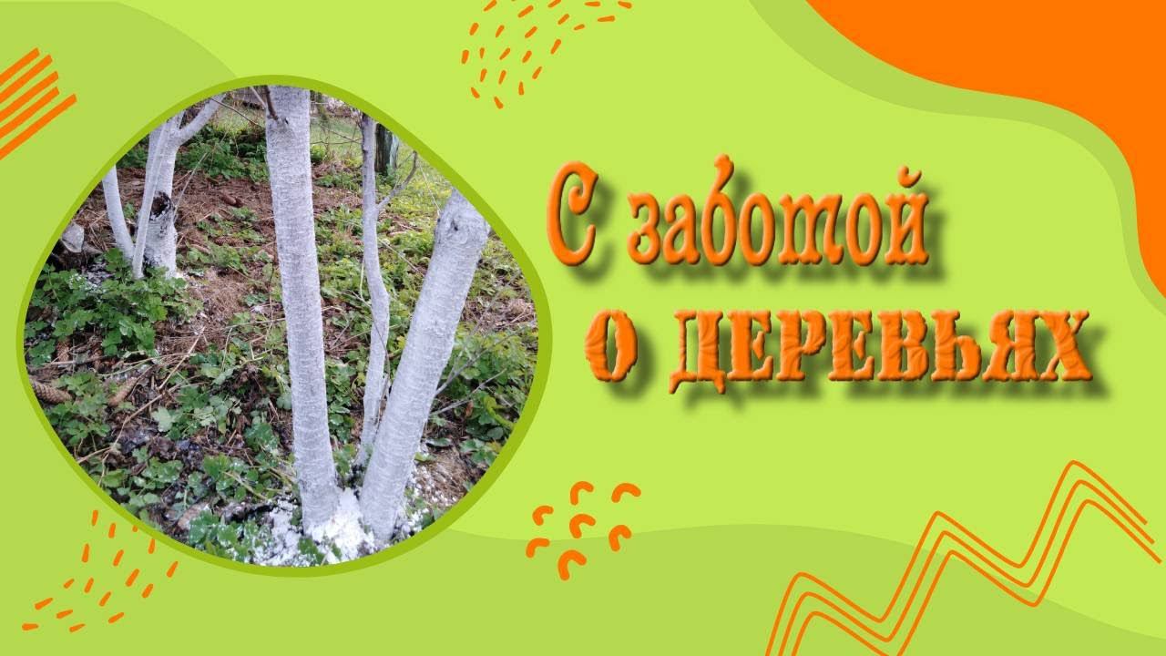 С заботой о деревьях