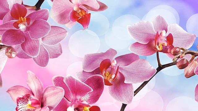 Y2mate.mx-Бесшовный фон.