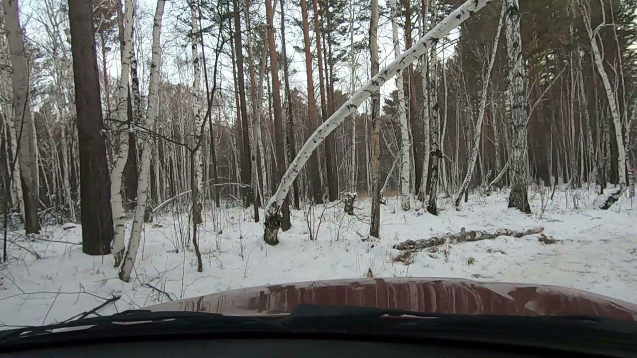 Дорога на угольный через лагерь. Курминский залив.