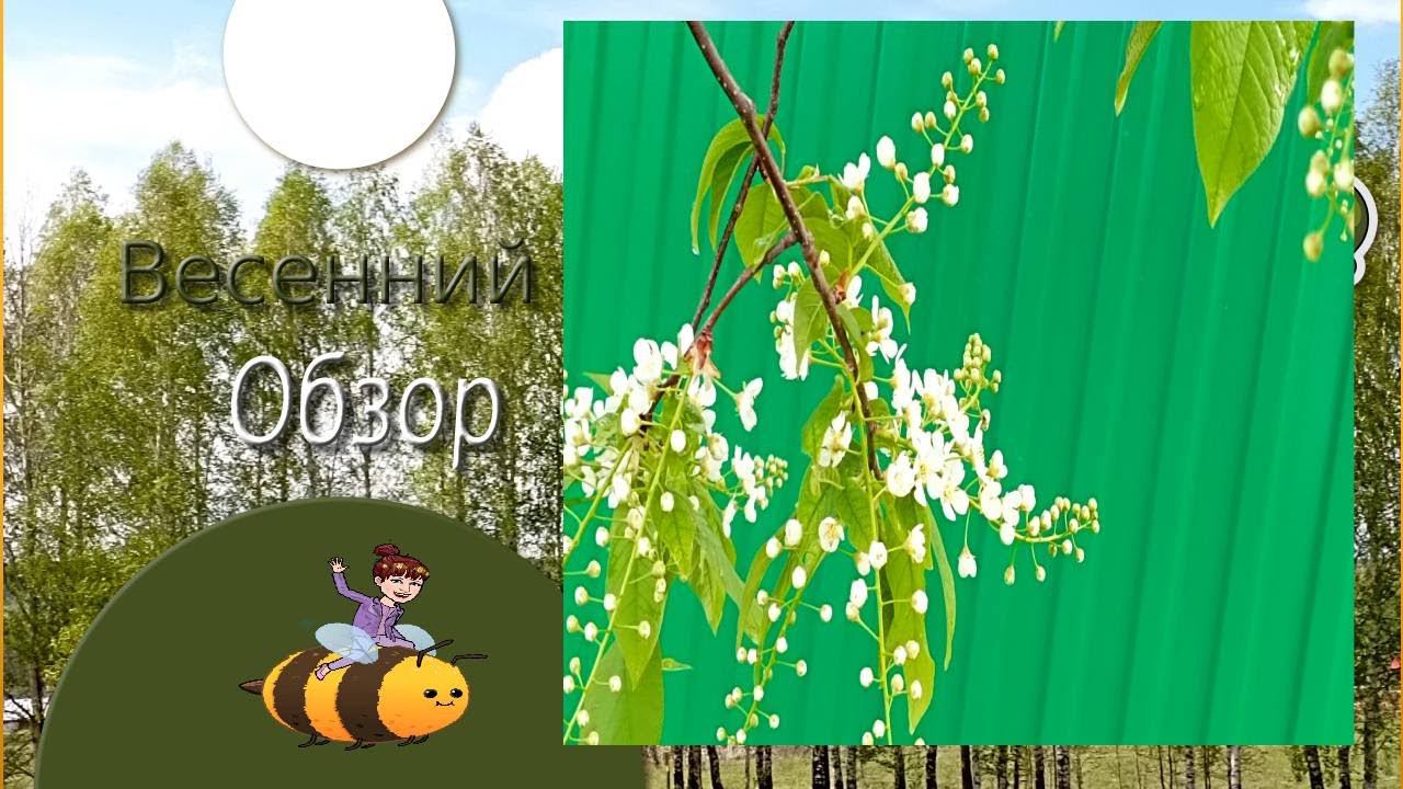 Весенний обзор