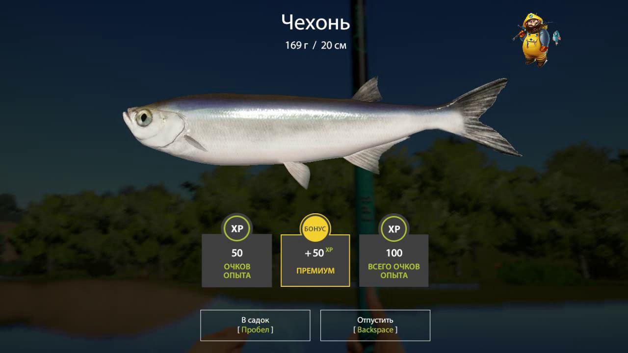 Русская рыбалка 4: р. Северский Донец: Чехонь.