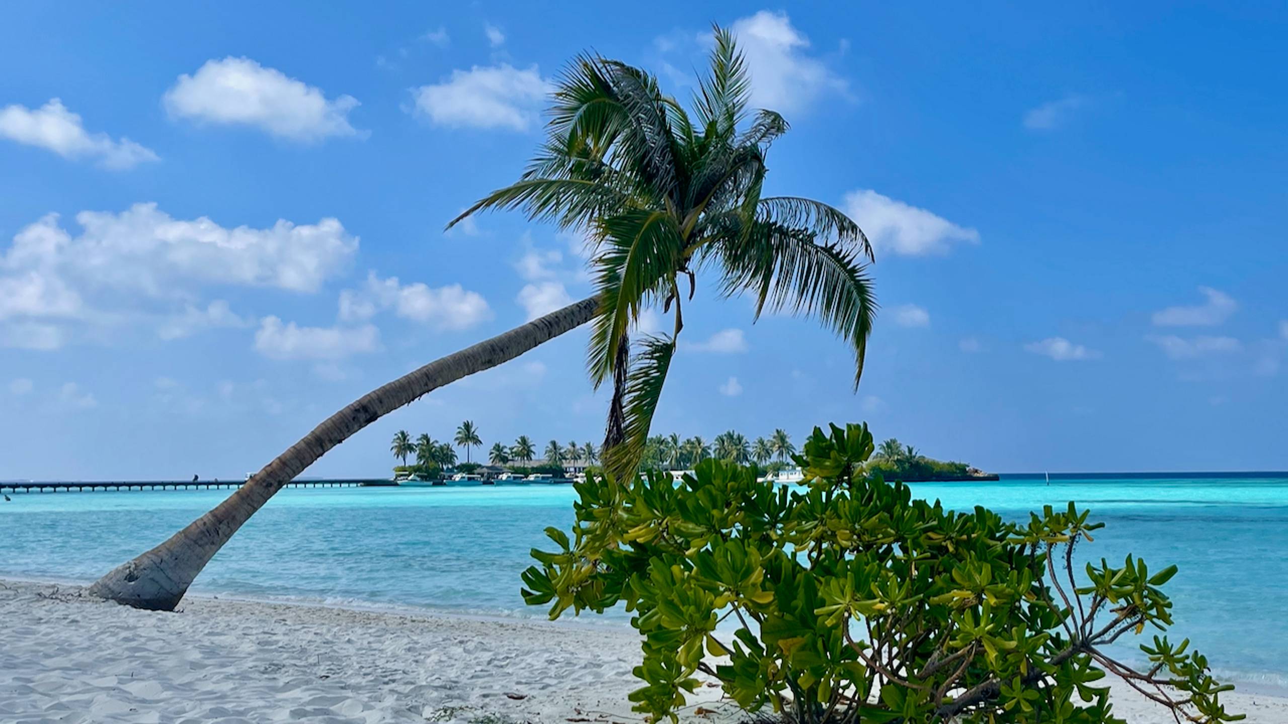 Каждое утро....😉