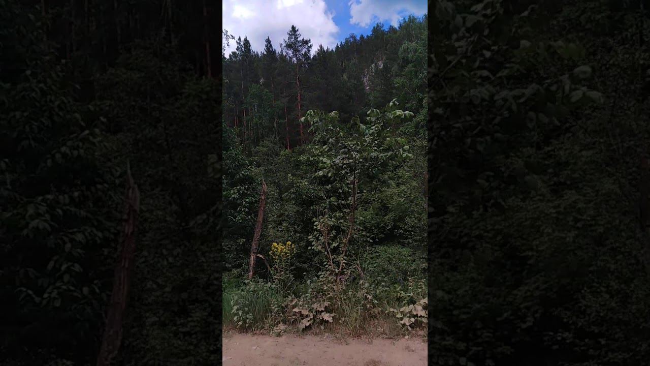 4 Дорога на Кап пещ