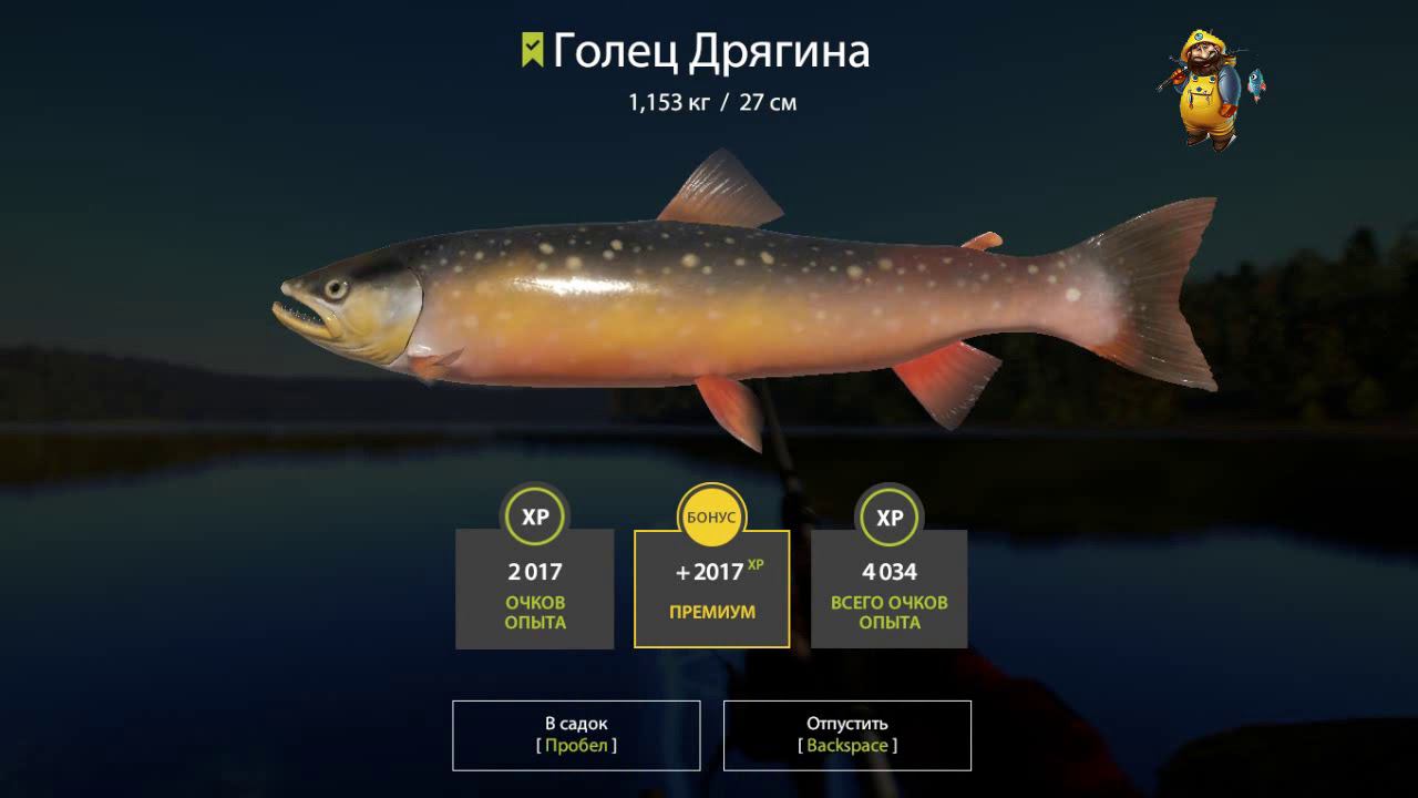 Русская рыбалка 4: р. Нижняя Тунгуска: Голец арктический, Голец Дрягина.