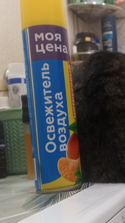 играю в мм2 часть 6 шортц