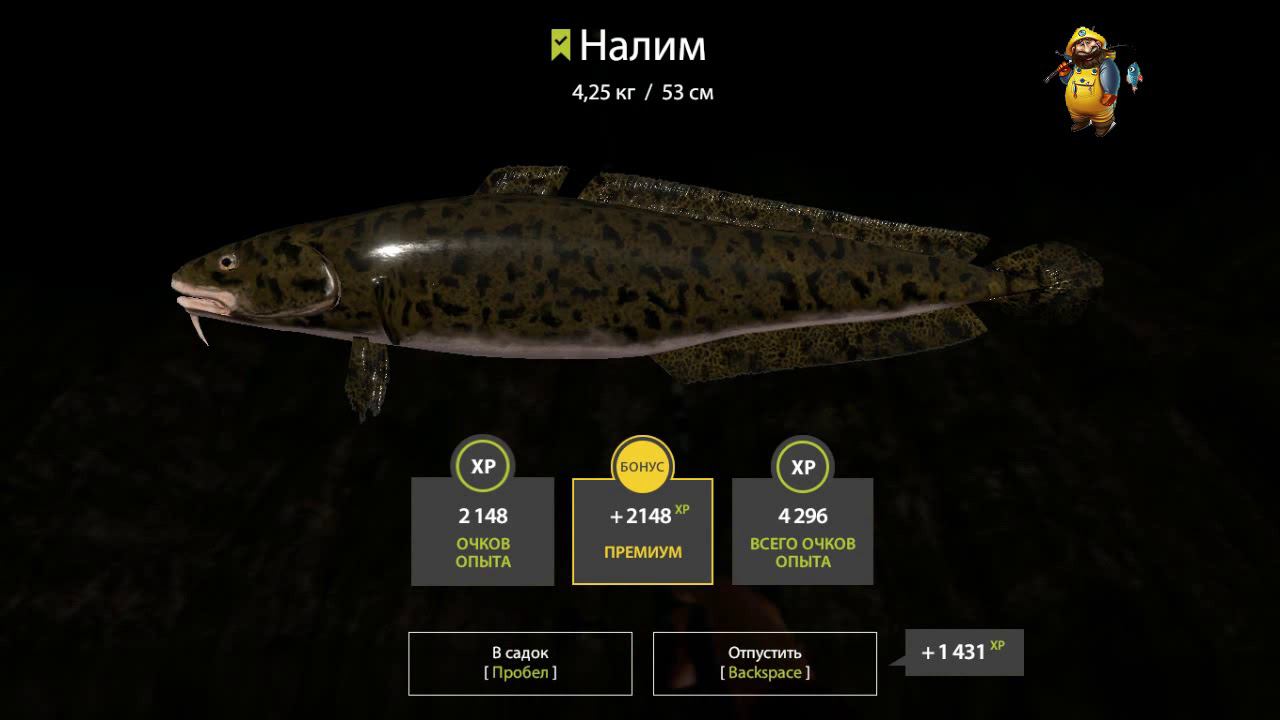 Русская рыбалка 4: р. Белая: Налим.