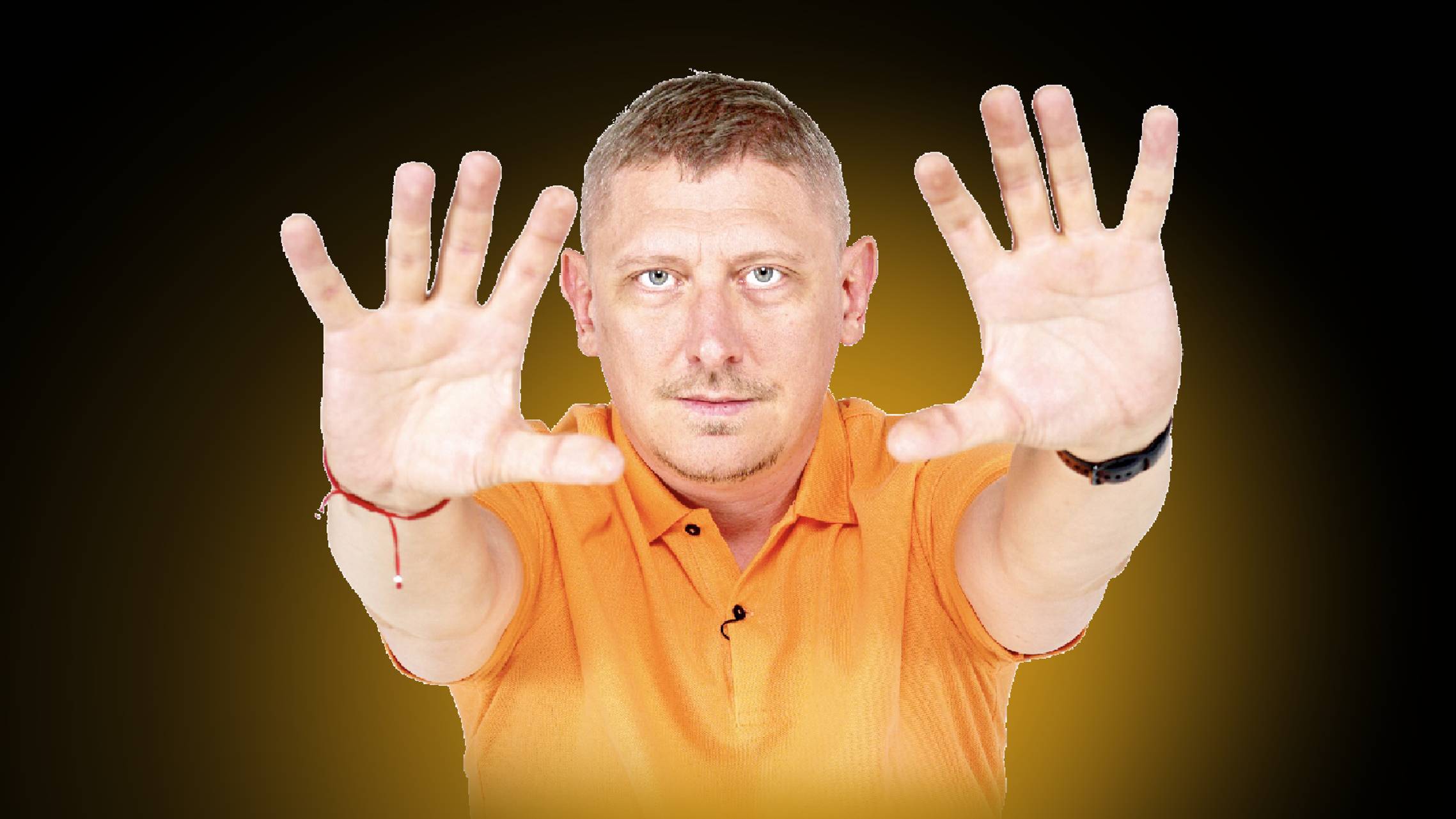 О программе