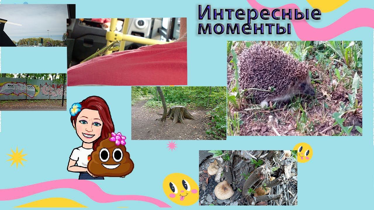 Интересные моменты