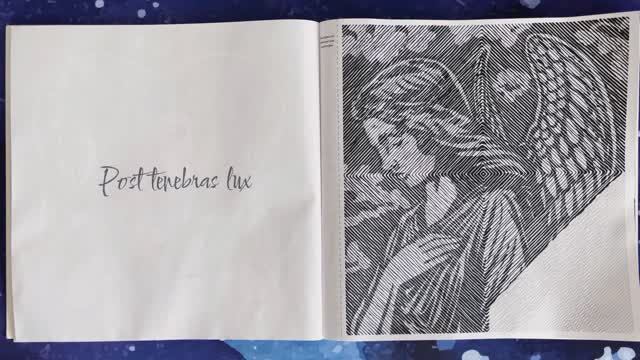 Раскрашиваю по контурам