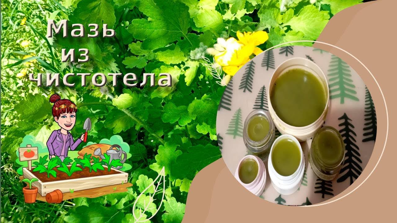 Мазь из чистотела