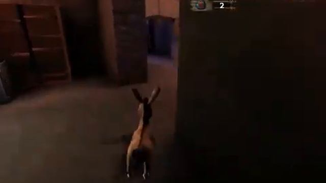 Все плакаты с розысками в игре Шрек 2