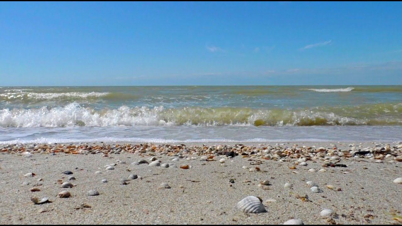 Ейск: прогулка к морю 19.05.2020г.