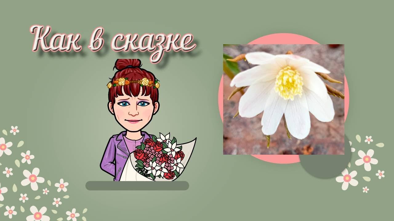 Как в сказке