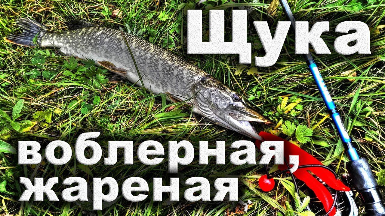 Приготовление жареной щуки. Рыбацкая кухня. Щука жареная. Кулинарные рецепты. Cooking fried pike