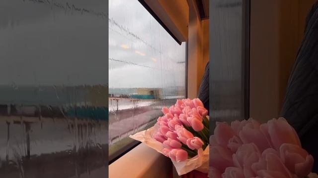 Тюльпаны в поезде