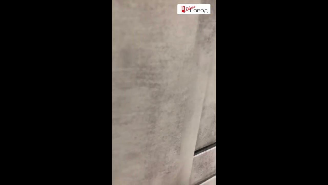 Дверь Экошпон Некст 2 Бетон светло серый