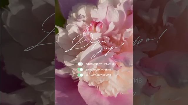 Добрые цветы