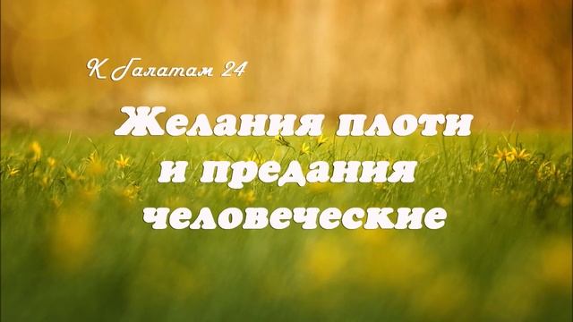 24. ЖЕЛАНИЯ ПЛОТИ И ПРЕДАНИЯ ЧЕЛОВЕЧЕСКИЕ_к Галатам пастор Ли Ги Тэк_  Миссионерский центр "Сонрак"