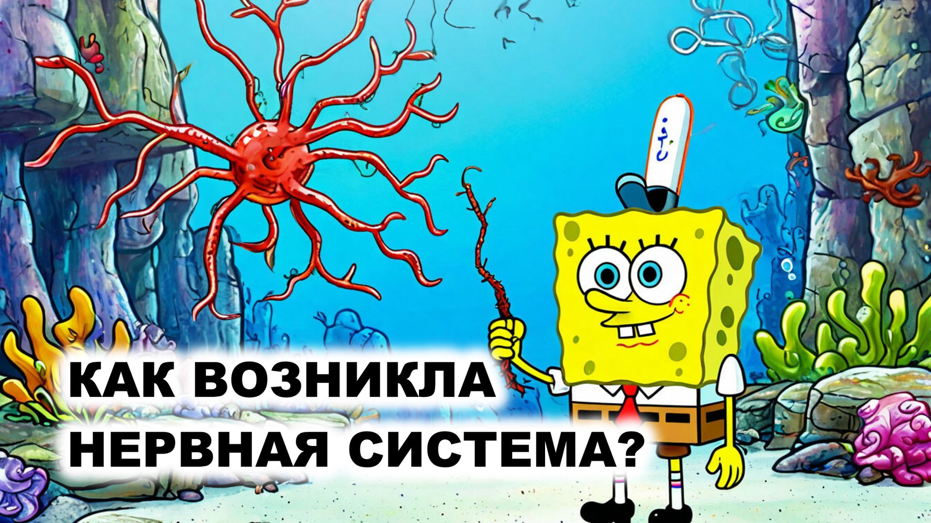 05.2. Возникновение нервной системы