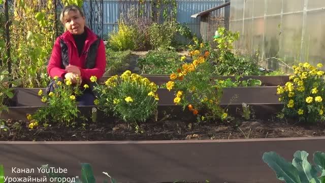 Теплые грядки из ДПК NauticPrime  Новый дизайн