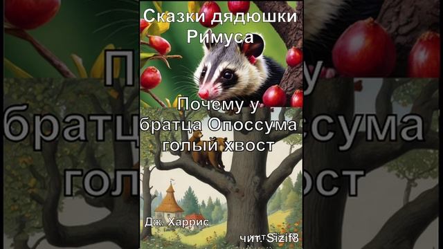 15. Почему у братца Опоссума голый хвост