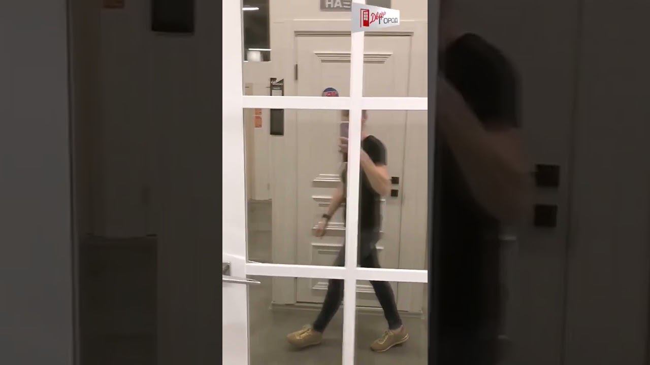 Межкомнатная дверь ПДО 1222 Аляска суперматовая dvergorod.ru #shorts