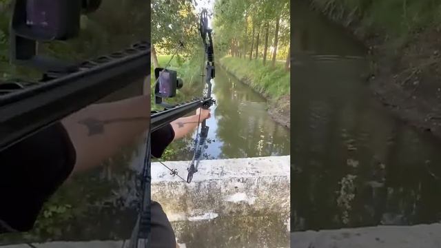 Арбалет для охоты на рыбу.